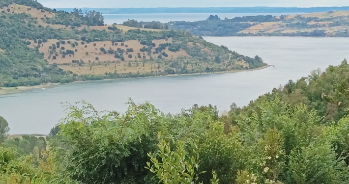 4 cabañas Refugio Alto Quimán Futrono – Propiedades Futrono