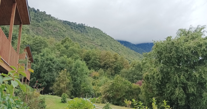 4 cabañas Refugio Alto Quimán Futrono – Propiedades Futrono